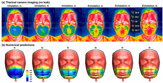 Impacts of Mask Wearing and Leakages on Cyclic Respiratory Flows and ...