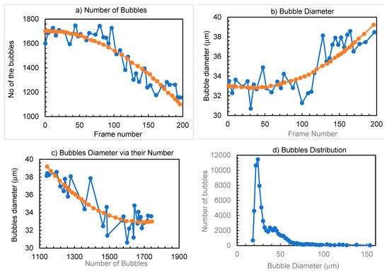 Visualizing and Evaluating Microbubbles in Multiphase Flow Applications