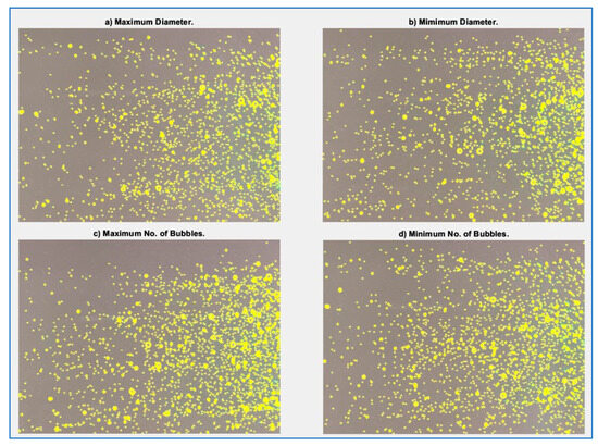 Visualizing and Evaluating Microbubbles in Multiphase Flow Applications
