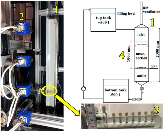 Fluids | Free Full-Text | Statistical Analysis of Bubble Parameters from a Model Bubble Column ...