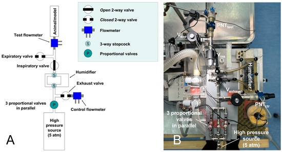 Interrupter Technique Revisited: Building an Experimental Mechanical ...