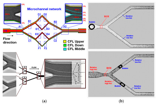 The Impact of Polydimethylsiloxane (PDMS) in Engineering: Recent ...