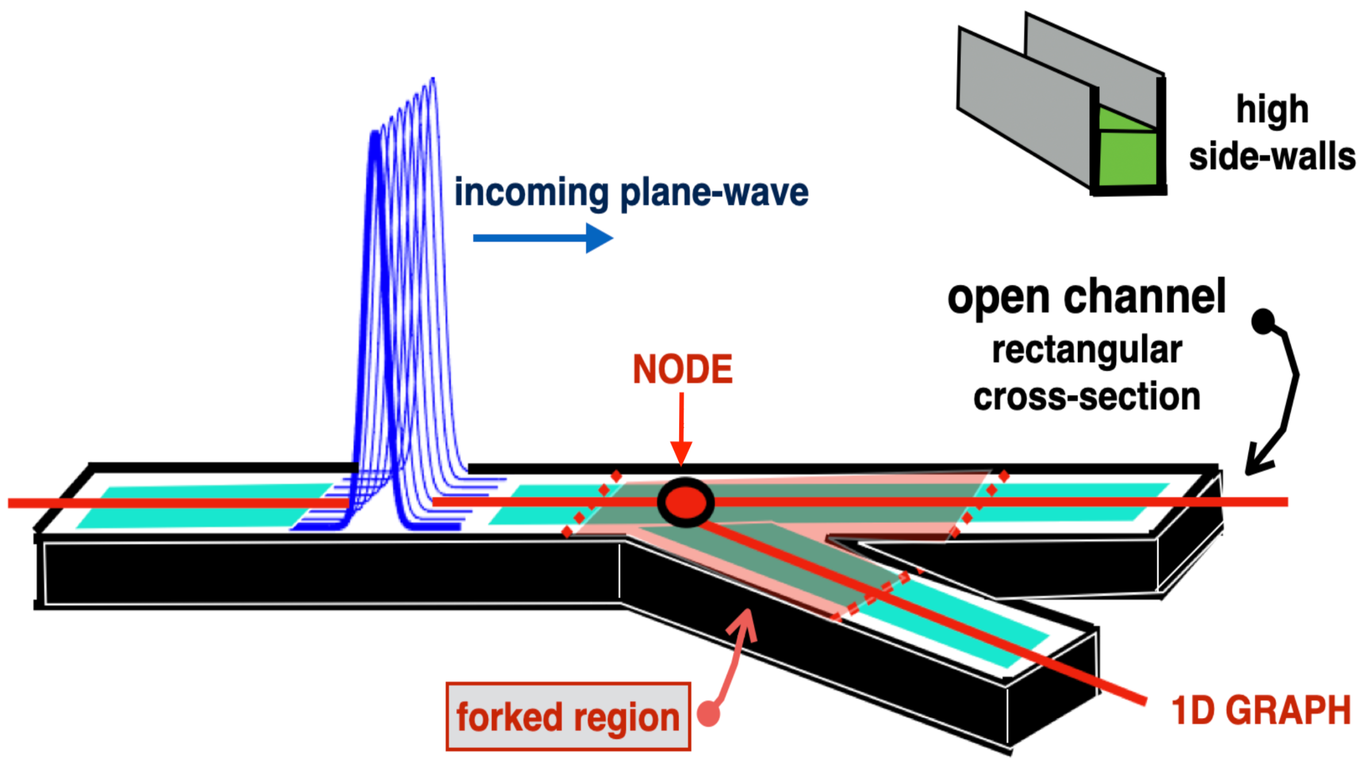 Modelling Water Waves on Graphs