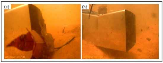 Particle Image Velocimetry Analysis of Bedload Sampling in a Sand-Bed River