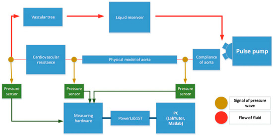 A Comprehensive Review of Mock Circulation Loop Systems for ...