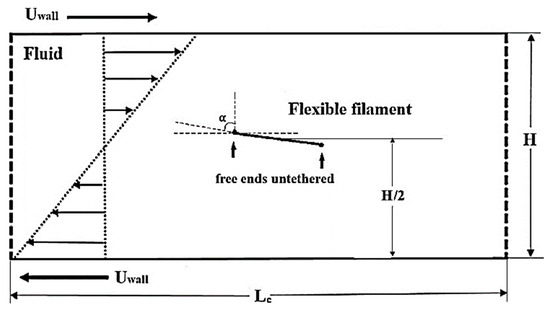 Advances in Flow–Structure Interaction and Multiphysics Applications: An Immersed Boundary ...