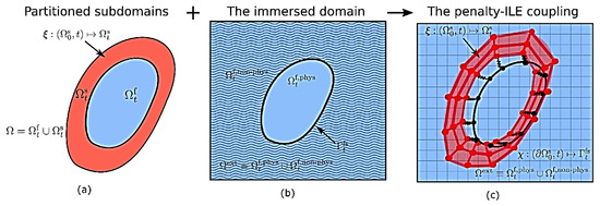 Advances in Flow–Structure Interaction and Multiphysics Applications: An Immersed Boundary ...