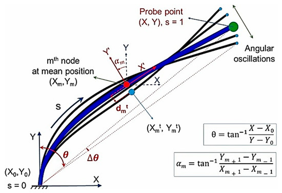 Advances in Flow–Structure Interaction and Multiphysics Applications: An Immersed Boundary ...