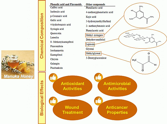 Foods | Free Full-Text | The Composition and Biological Activity of ...