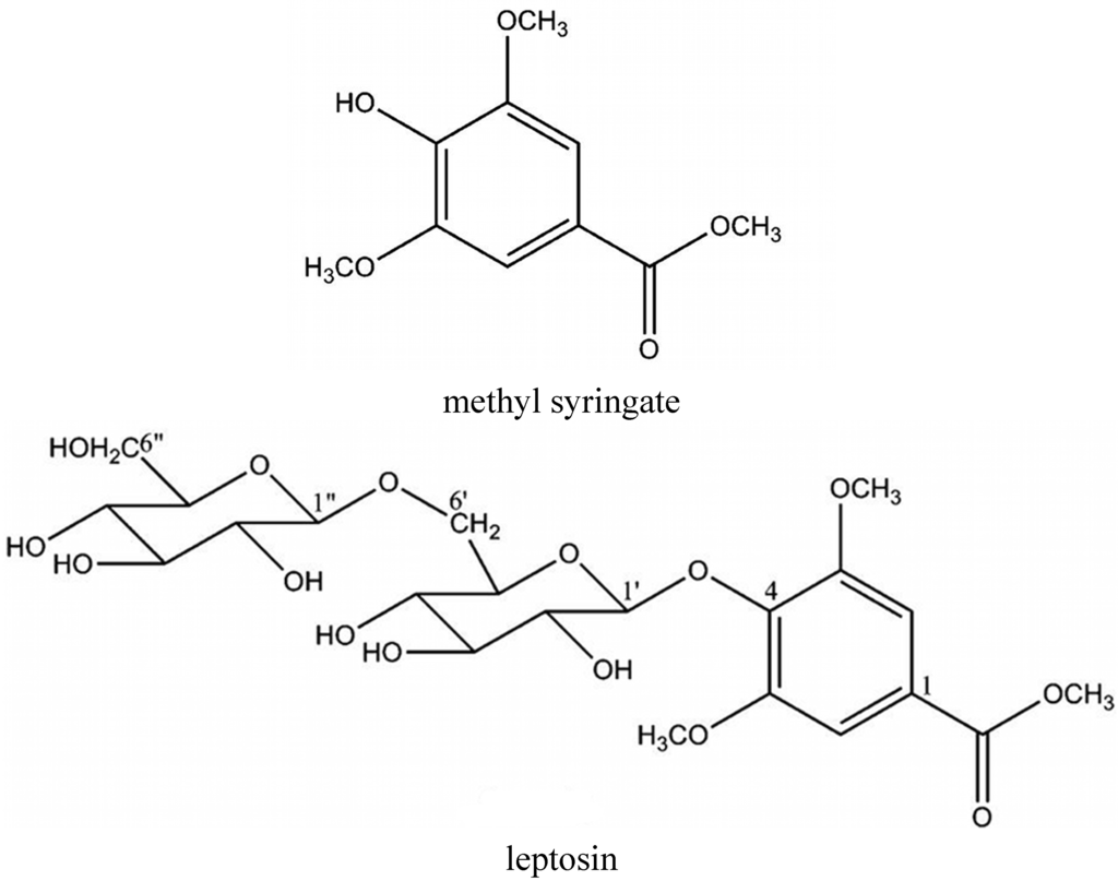The Composition and Biological Activity of Honey: A Focus on Manuka Honey