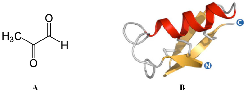 The Composition and Biological Activity of Honey: A Focus on Manuka Honey