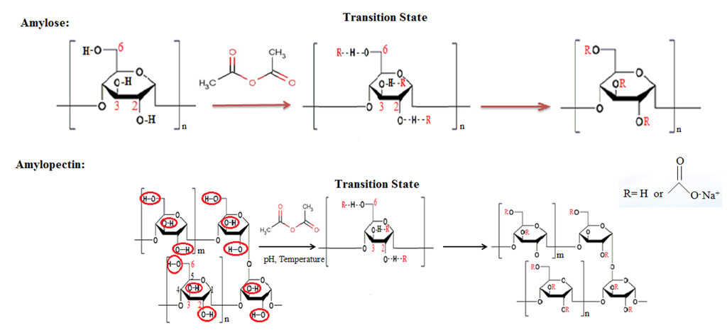 Recent Advances in Techniques for Starch Esters and the Applications: A ...