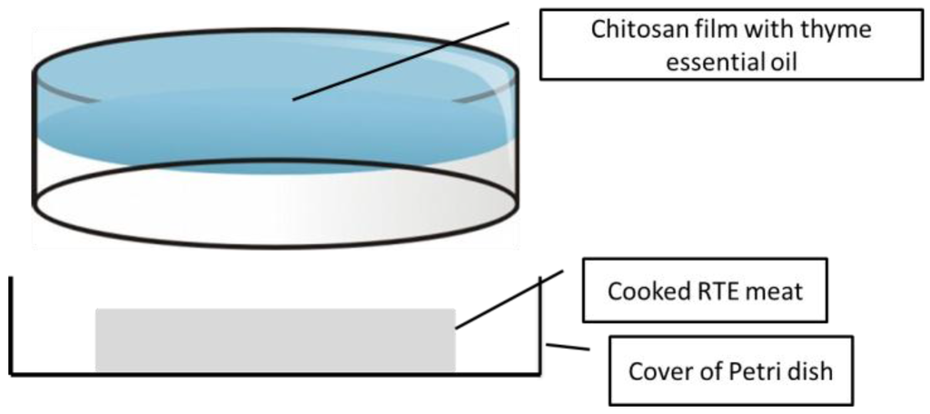 Antimicrobial Active Packaging including Chitosan Films with Thymus ...