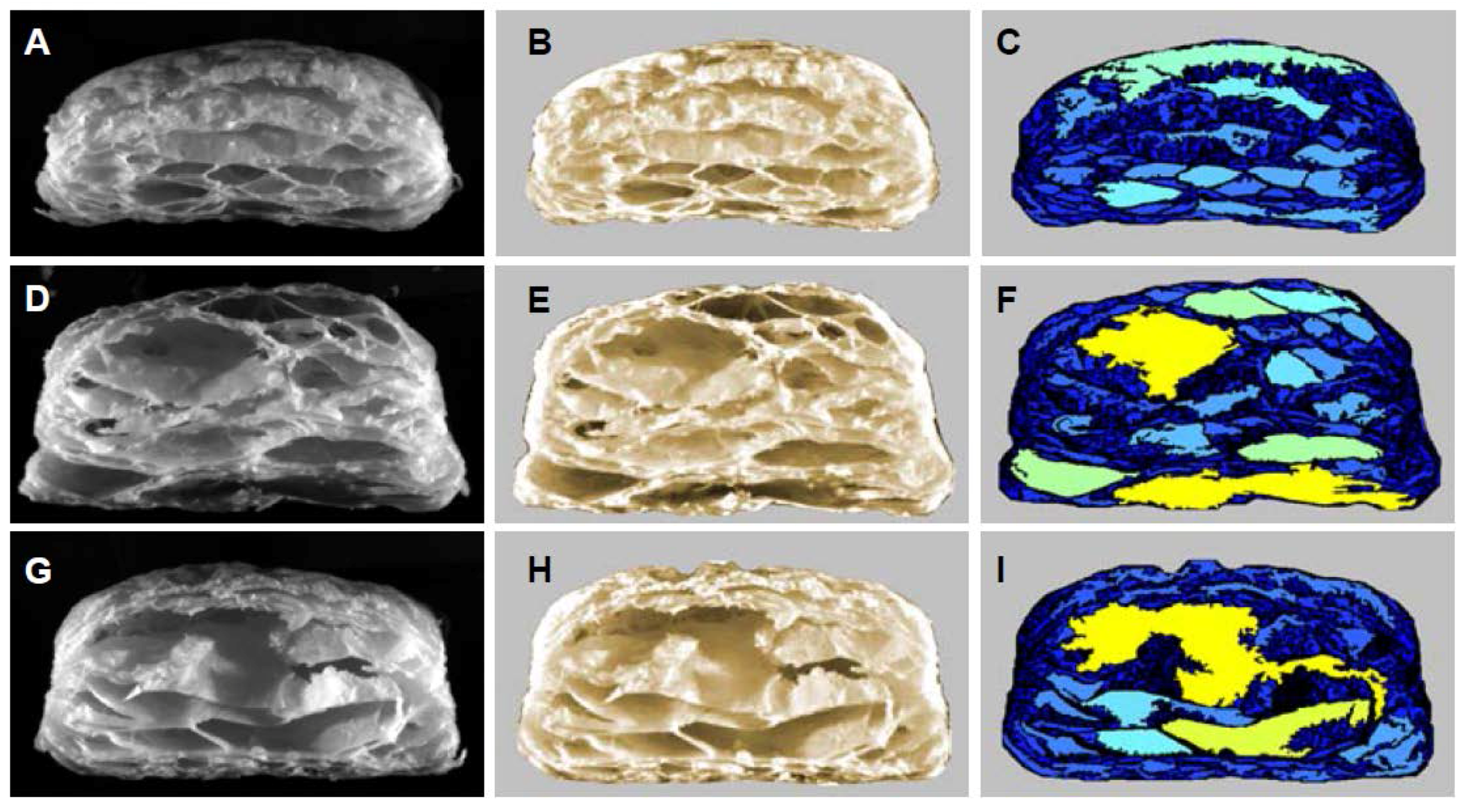 Foods | Free Full-Text | Optimization of Fat-Reduced Puff Pastry Using ...