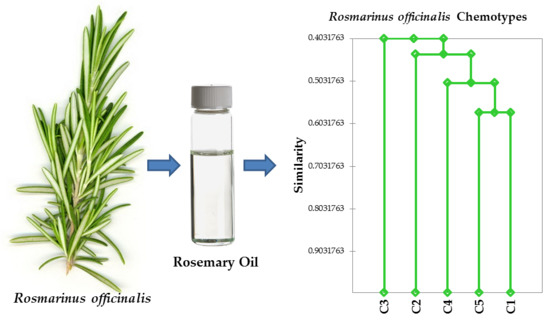 Biological activity of essential oils leaves from one Sahara plant ...