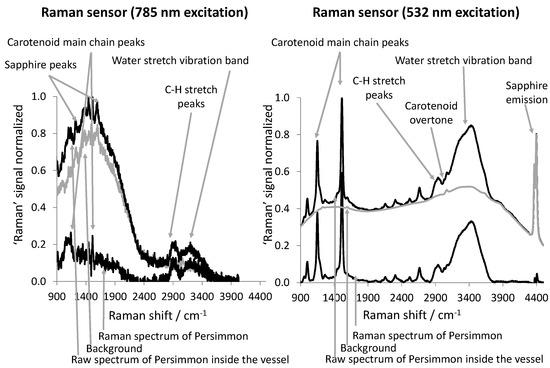 In Situ Raman Analysis of CO2—Assisted Drying of Fruit-Slices