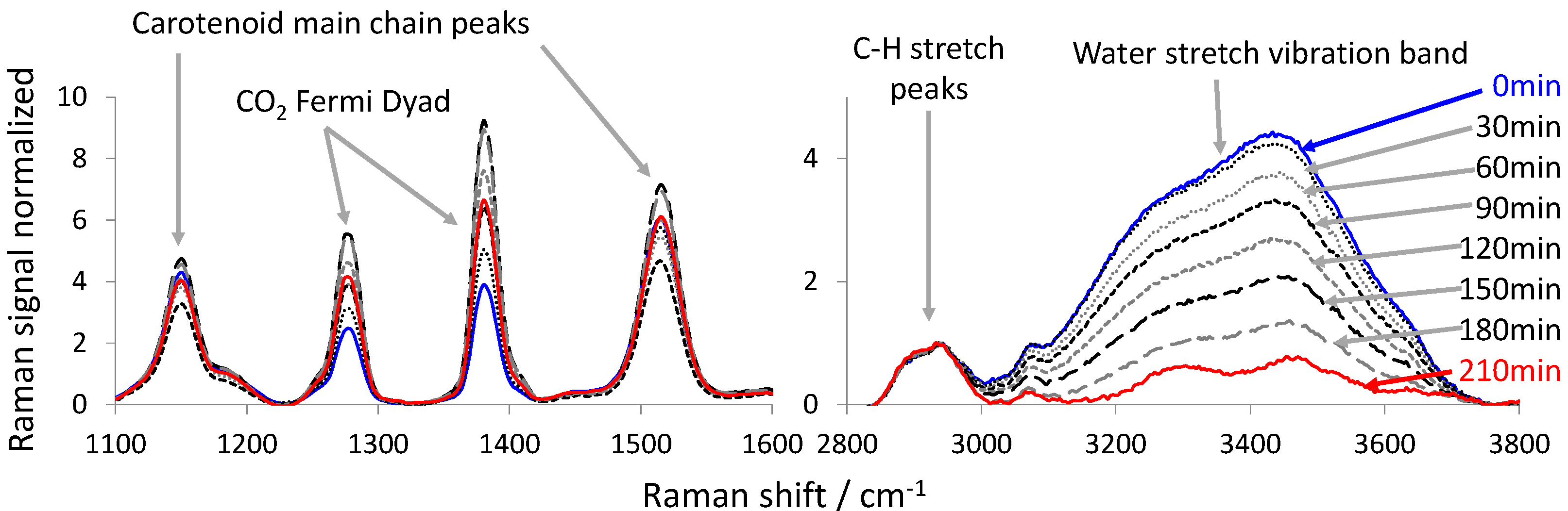 In Situ Raman Analysis of CO2—Assisted Drying of Fruit-Slices