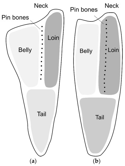 Weakening Pin Bone Attachment in Fish Fillets Using High-Intensity ...