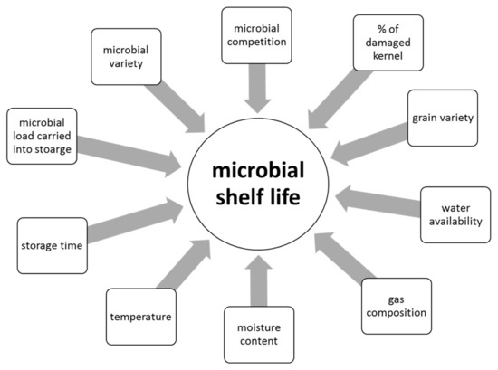 Recent Advances in Physical Post-Harvest Treatments for Shelf-Life ...