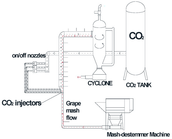Study of the Grape Cryo-Maceration Process at Different Temperatures