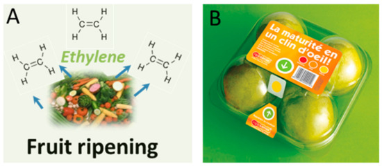 Chemical and Biological Sensors for Food-Quality Monitoring and Smart ...