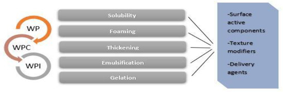 Cheese Whey Processing: Integrated Biorefinery Concepts and Emerging ...