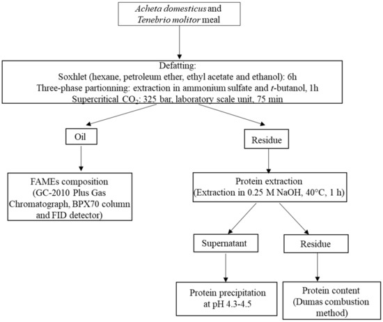 Comparison of Conventional and Sustainable Lipid Extraction Methods for ...