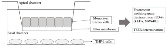 Feasibility of Using Seaweed (Gracilaria coronopifolia) Synbiotic as a ...