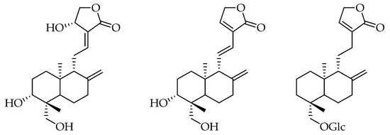 Quantitative Determination of Andrographolide and Related Compounds in ...