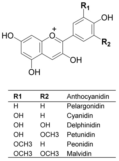 A Review of Factors Affecting Anthocyanin Bioavailability: Possible ...