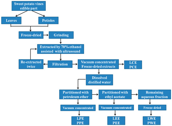 Chemical Characterization and Antioxidant Properties of Ethanolic ...