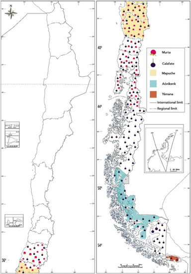 Phytochemicals and Traditional Use of Two Southernmost Chilean Berry ...