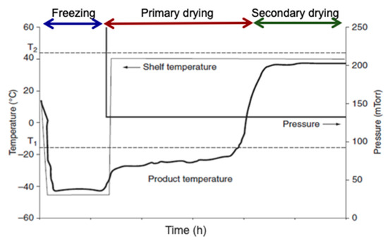 Freeze-Drying of Plant-Based Foods