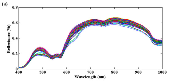 Rapid Identification and Visualization of Jowl Meat Adulteration in ...