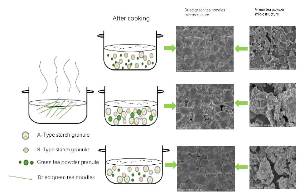 Foods | Free Full-Text | Water Cooking Stability of Dried Noodles ...