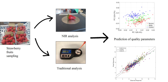 Foods | Free Full-Text | Application of the Non-Destructive NIR ...