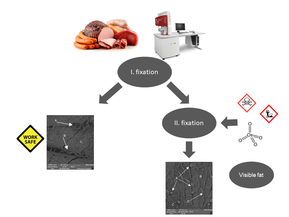 Foods | Free Full-Text | Assessment of the Effect of Secondary Fixation ...