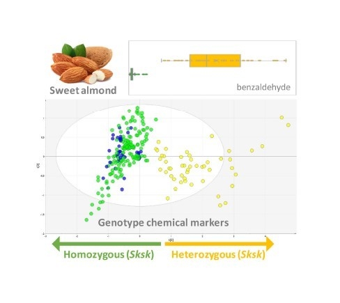 Foods | Special Issue : Flavor and Aroma Analysis as a Tool for Quality ...
