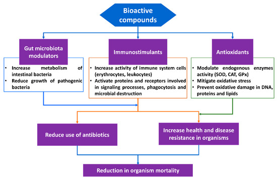 Foods | Free Full-Text | Exploitation of Agro-Industrial Waste as ...