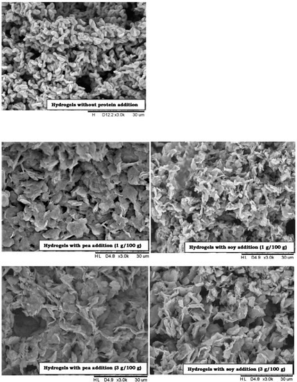Foods | Free Full-Text | Addition of Selected Plant-Derived Proteins as ...
