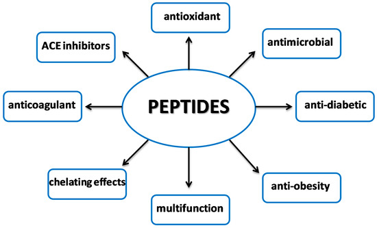 Current Trends of Bioactive Peptides—New Sources and Therapeutic Effect