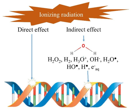 Control of Foodborne Biological Hazards by Ionizing Radiations
