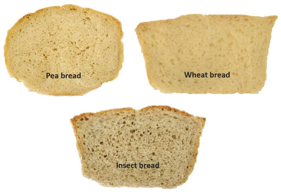 Physicochemical Properties and Consumer Acceptance of Bread Enriched ...