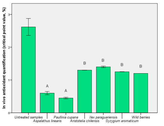 The Bioactive Potential of Functional Products and Bioavailability of ...