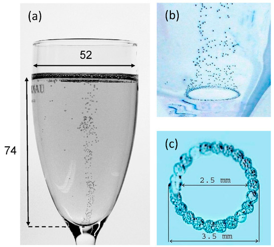 Computational Fluid Dynamics (CFD) as a Tool for Investigating Self ...
