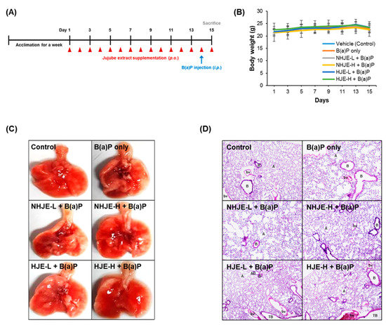 In Vivo Anti-Inflammatory Potential of Viscozyme®-Treated Jujube Fruit