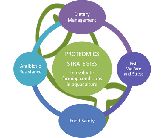 Foods | Special Issue : Proteomics and Food Analysis: Principles ...