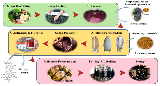 Wine Aging Technology: Fundamental Role of Wood Barrels