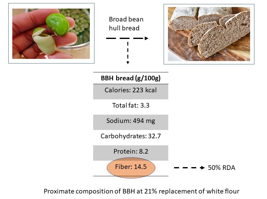 Foods | Free Full-Text | Addition of Broad Bean Hull to Wheat Flour for the Development of High ...