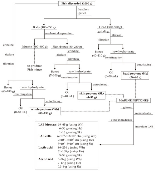 Foods | Free Full-Text | Bioconversion of Fish Discards through the ...